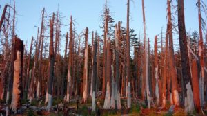 207: Scary Stuff | The First 40 Miles: Hiking and Backpacking Podcast